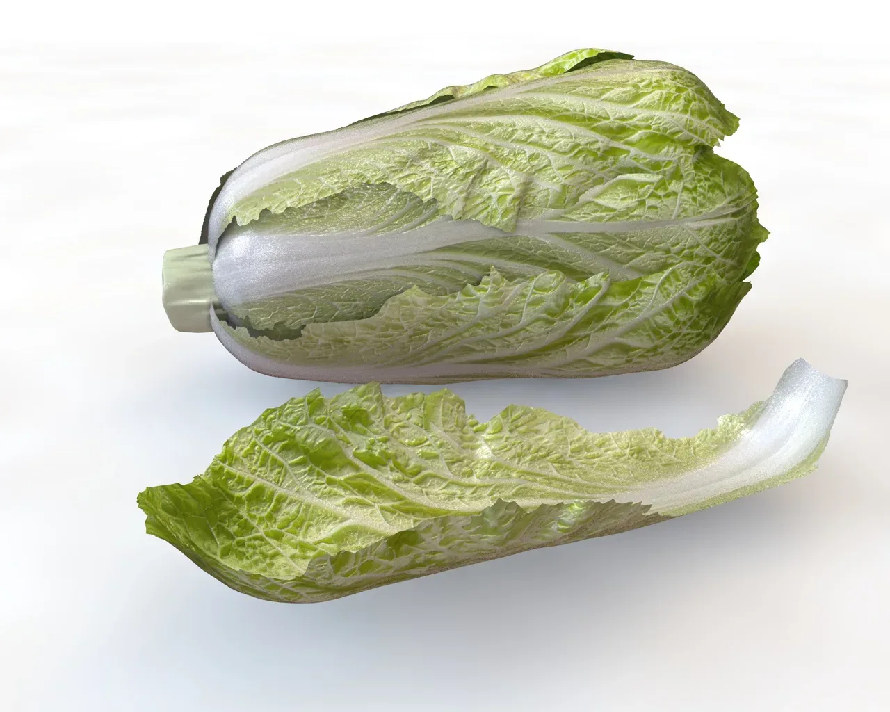 Kimchi napa cabbage 3d model - FlippedNormals