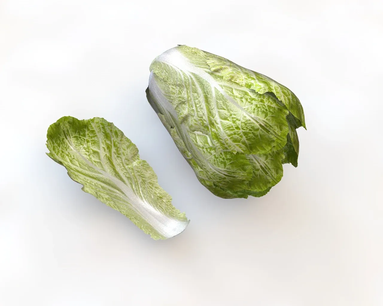 Kimchi napa cabbage 3d model - FlippedNormals