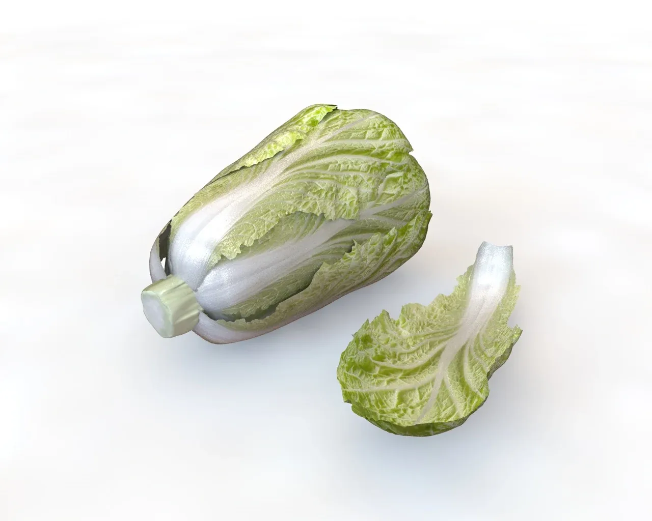 Kimchi napa cabbage 3d model - FlippedNormals
