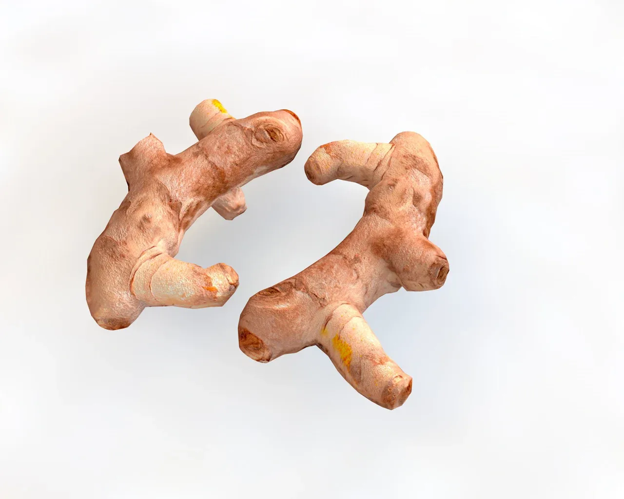 Turmeric root 3d model - FlippedNormals