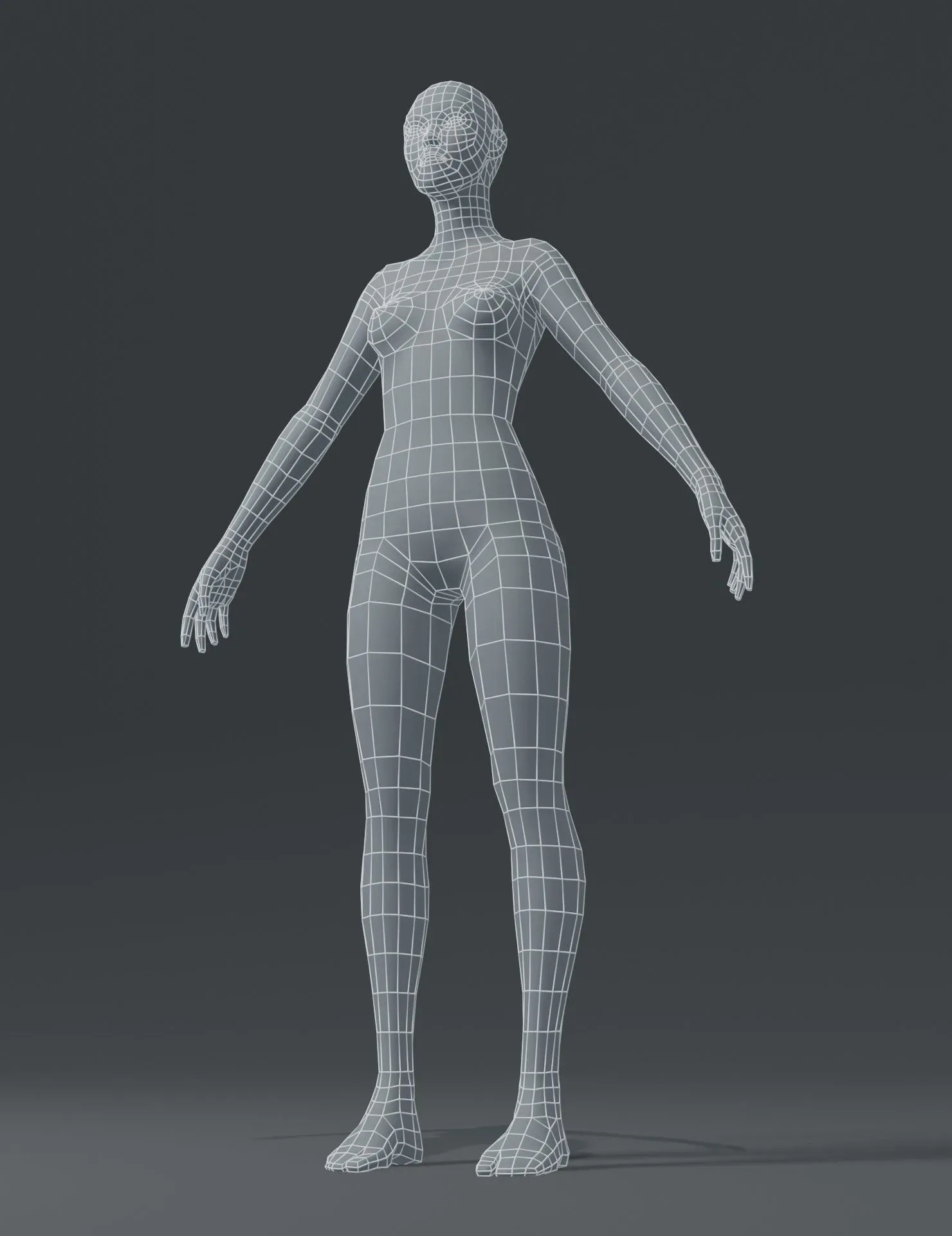 Female Body Base Mesh 3D Model - FlippedNormals