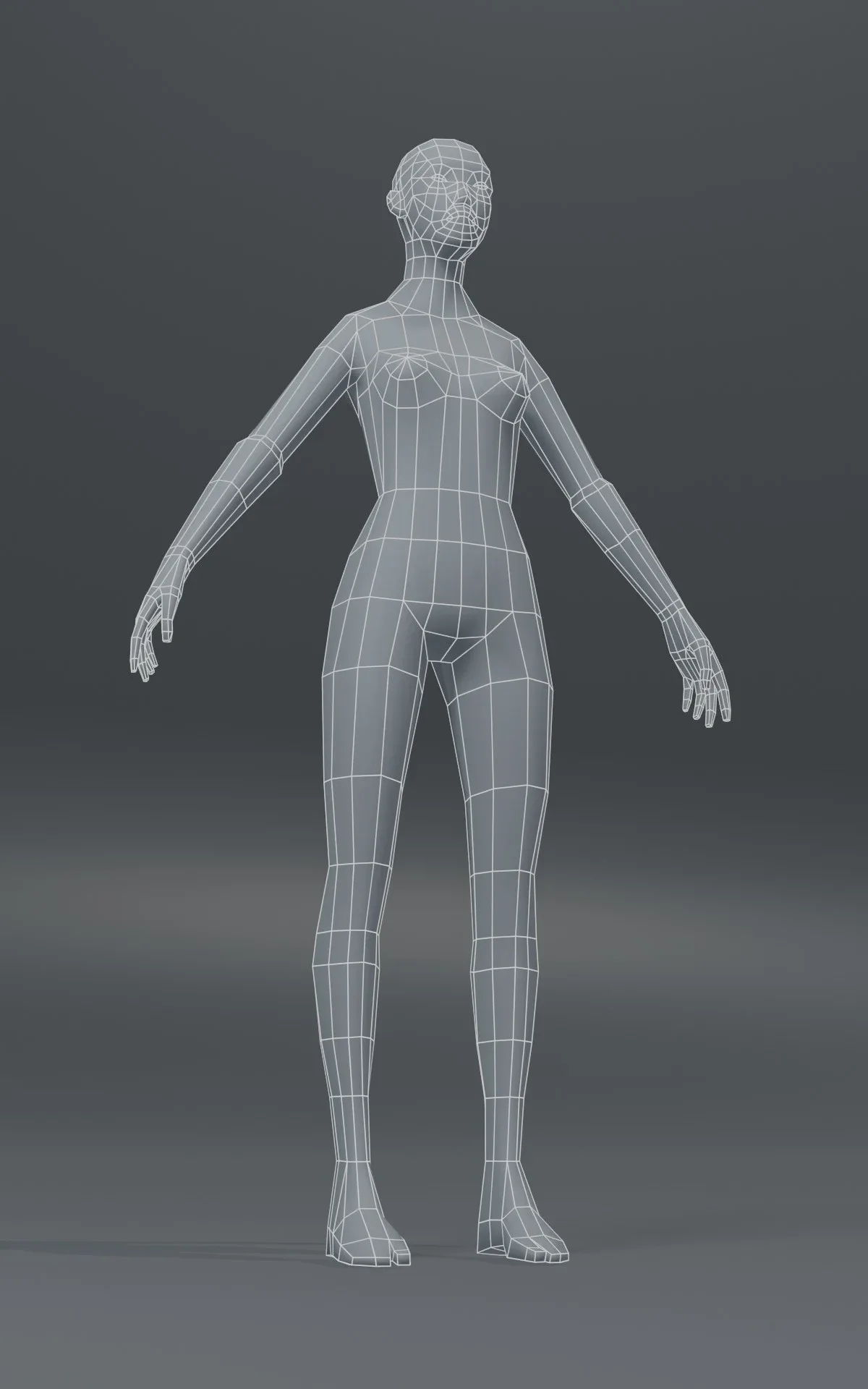 Female Body Base Mesh 3D Model - FlippedNormals