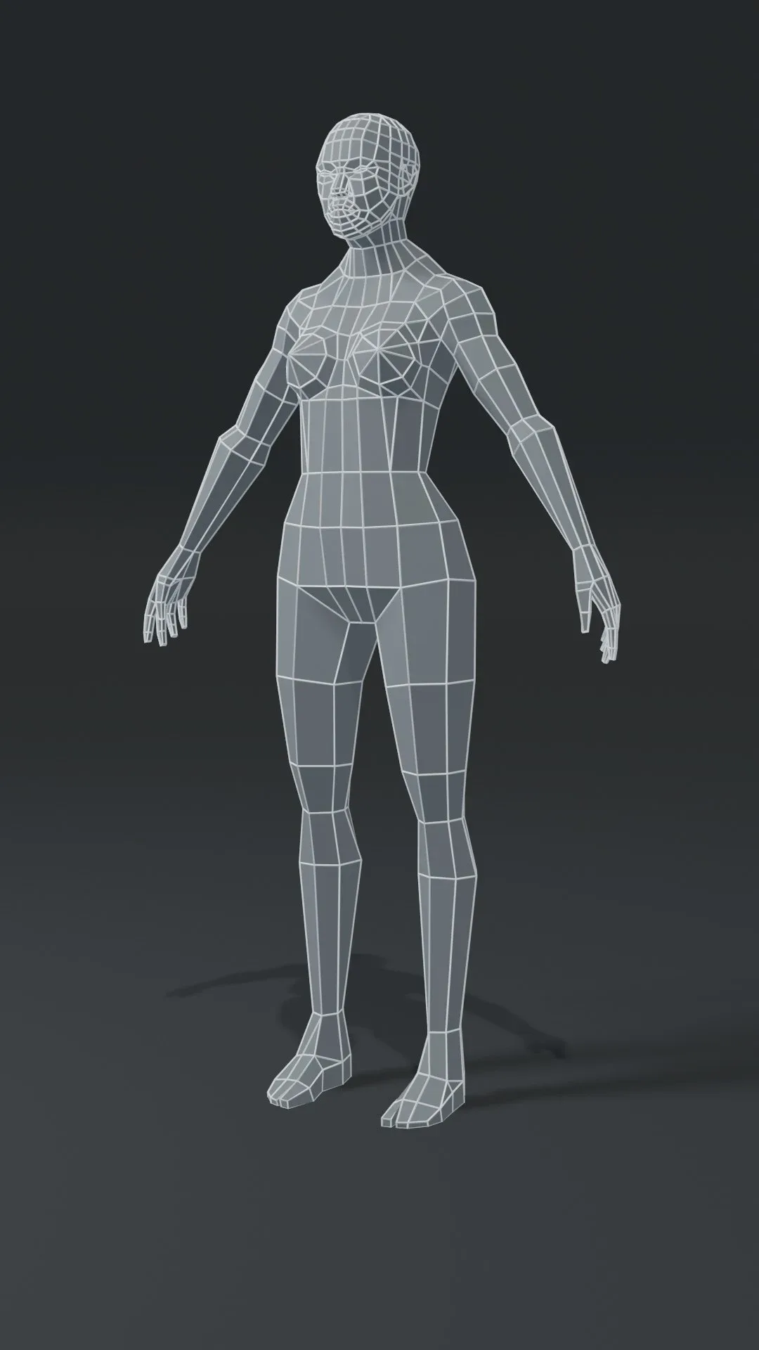 Superhero Muscular Female Body - FlippedNormals