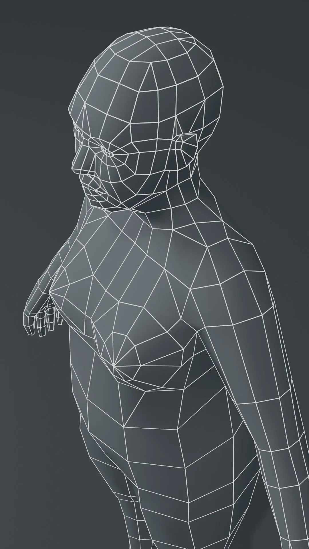 Female Body Fat Base Mesh 3D Model - FlippedNormals
