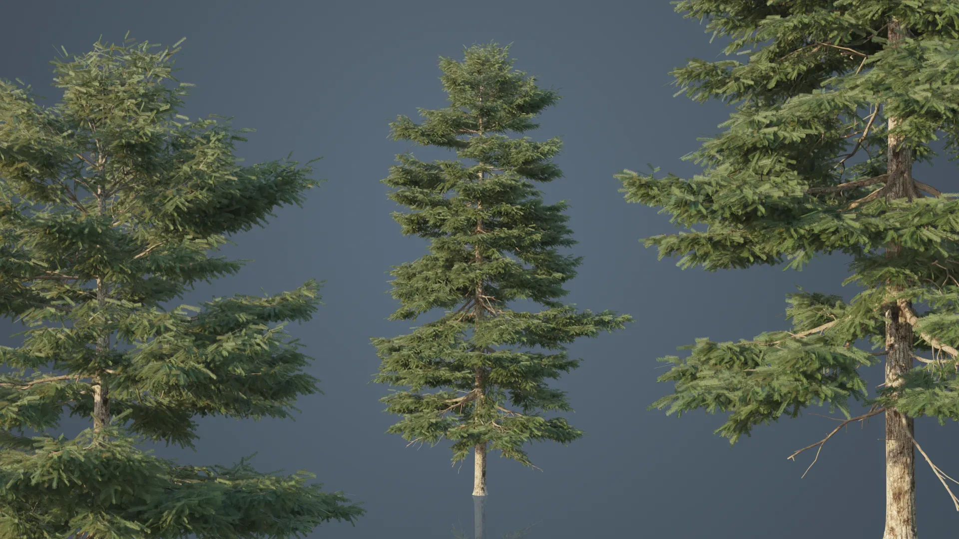 Red Spruce Trees - FlippedNormals