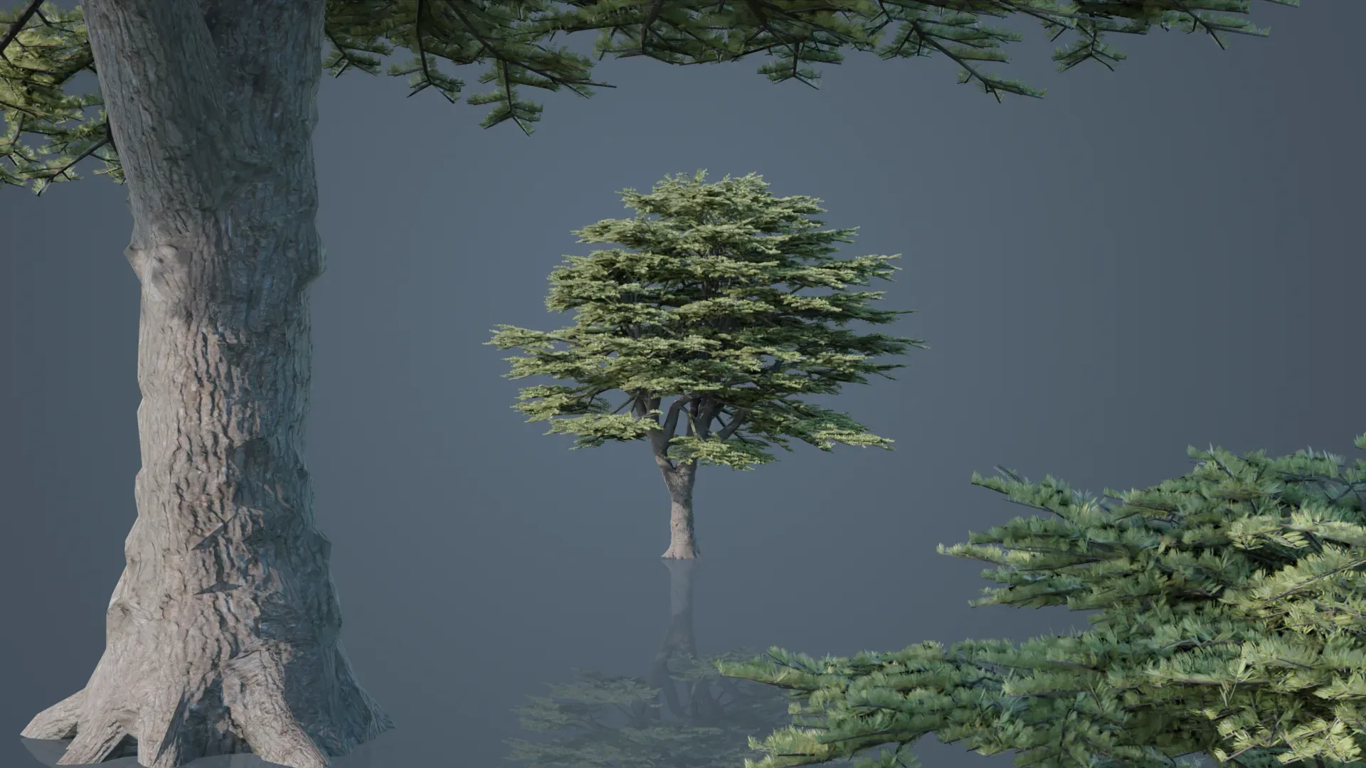 Cedrus Libani - Big Cedar Trees - FlippedNormals