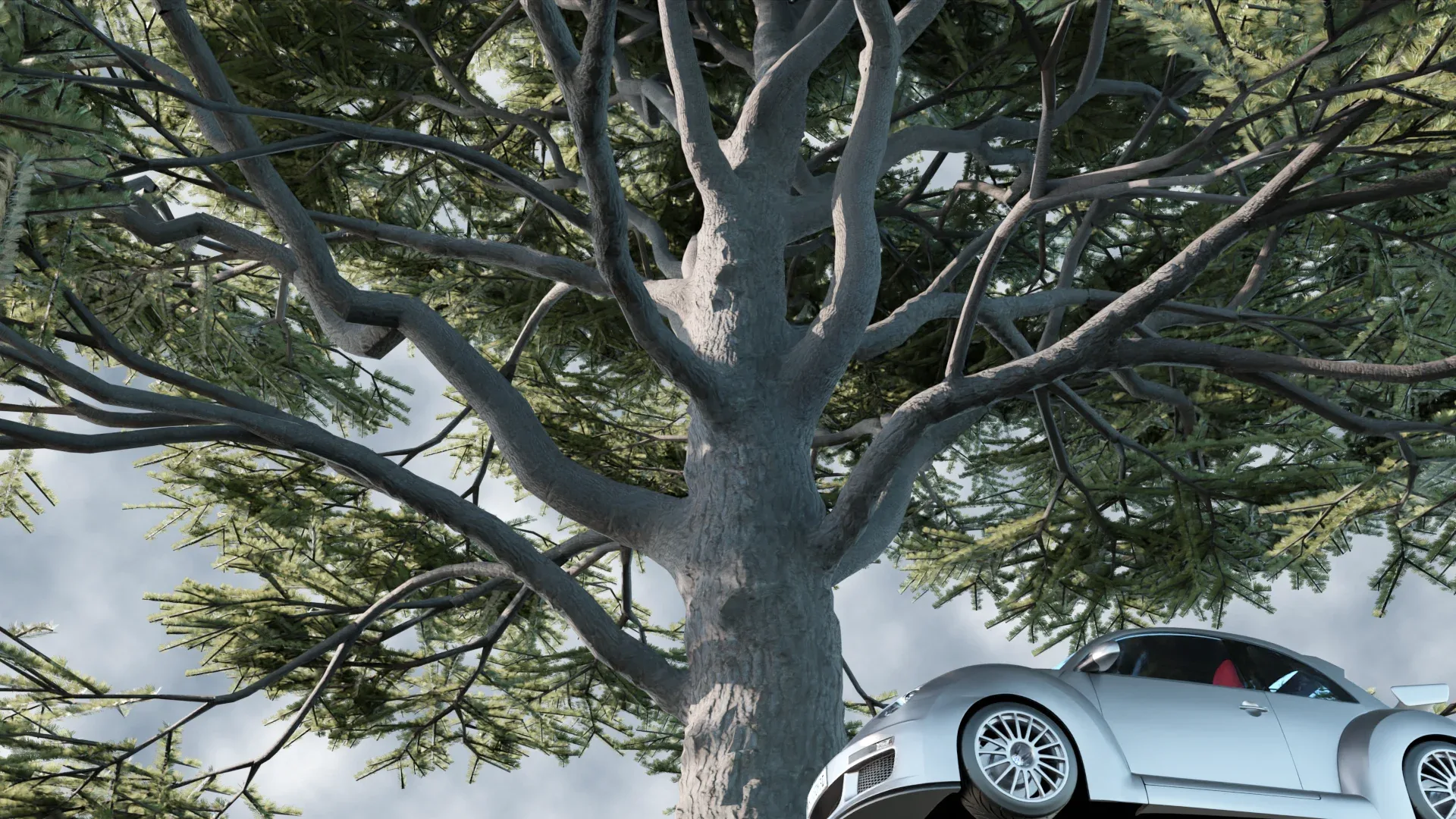 Cedrus Libani - Big Cedar Trees - FlippedNormals