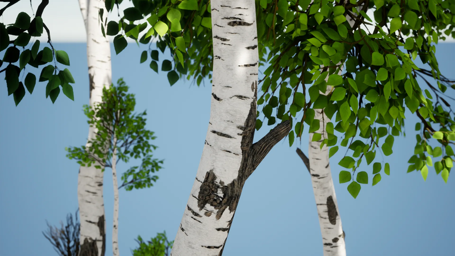 Stylized Birch Pack - FlippedNormals