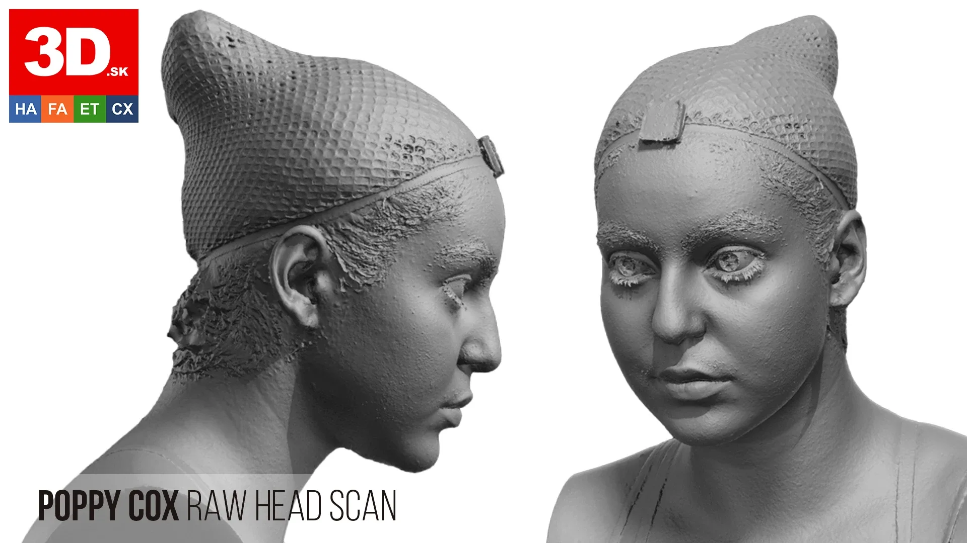 Raw Head Scan | 3D Model Poppy - FlippedNormals