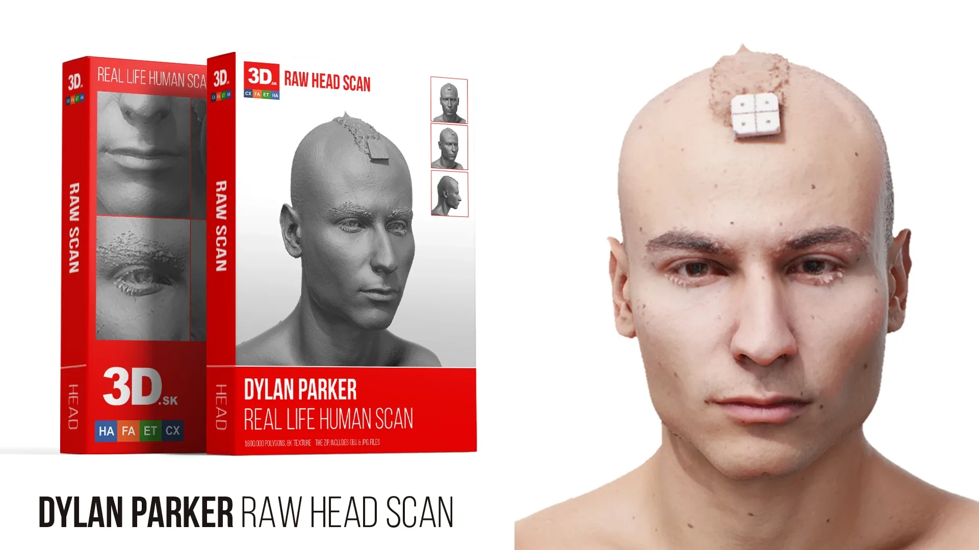 Raw Head Scan | 3D Model Dylan - FlippedNormals