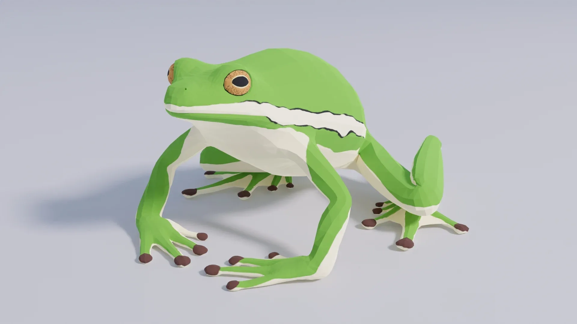 American Green Tree Frog - Animated - FlippedNormals