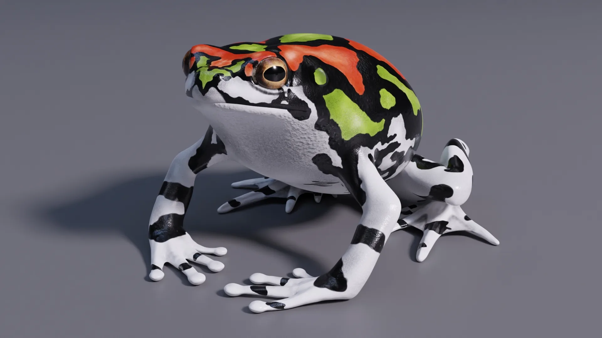 Malagasy Rainbow Frog - Animated - FlippedNormals