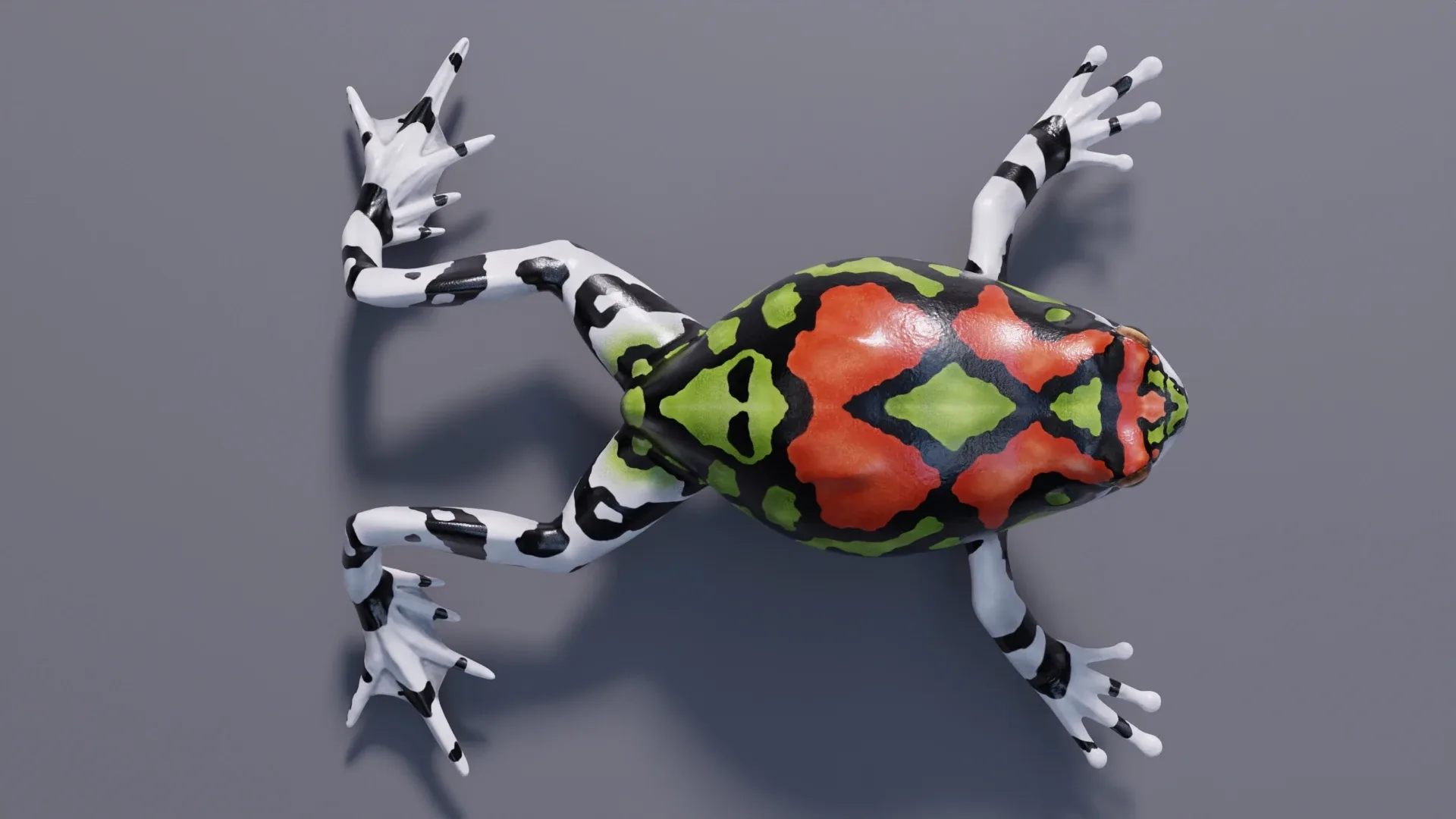 Malagasy Rainbow Frog - Animated - FlippedNormals