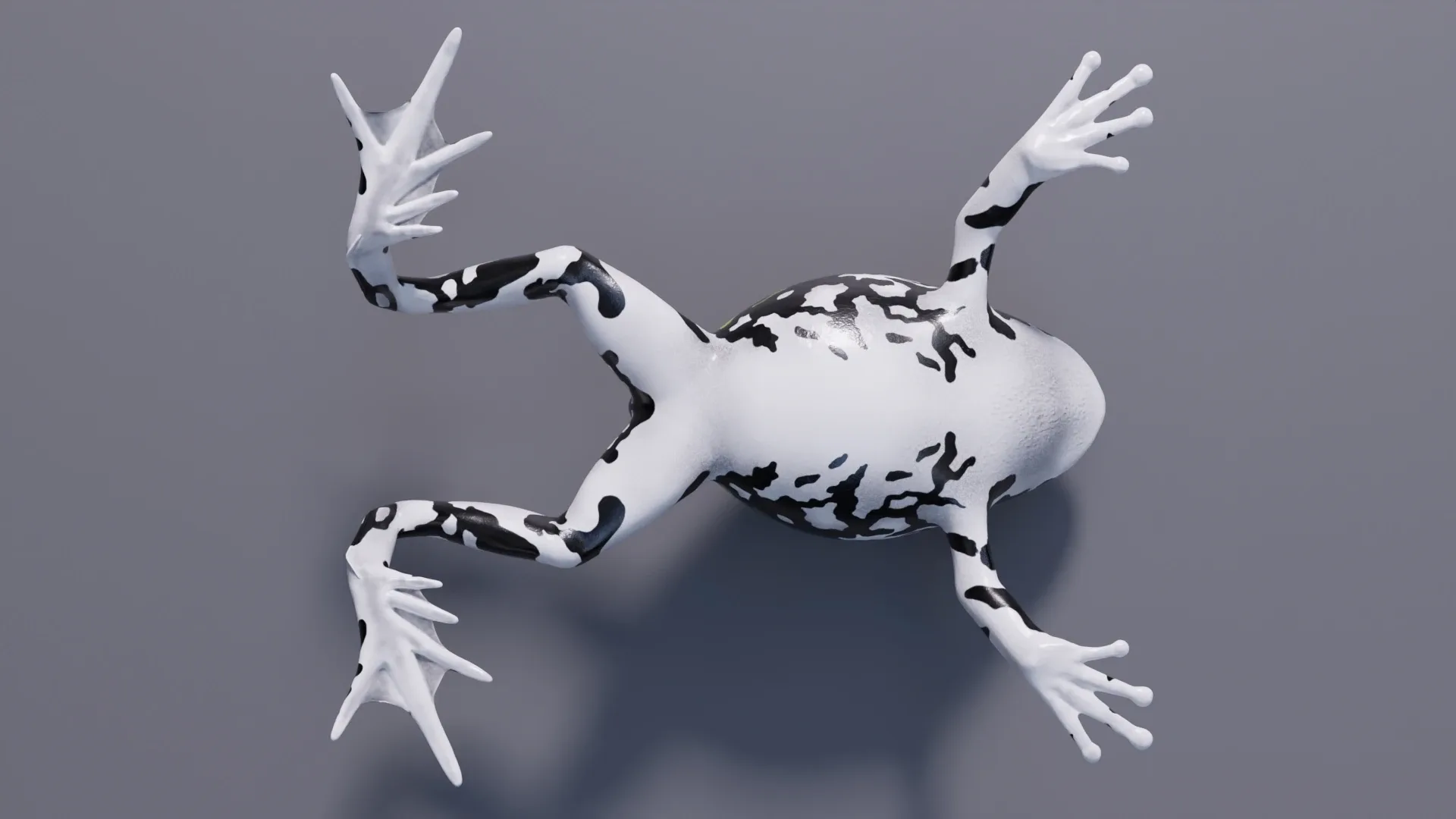 Malagasy Rainbow Frog - Animated - FlippedNormals