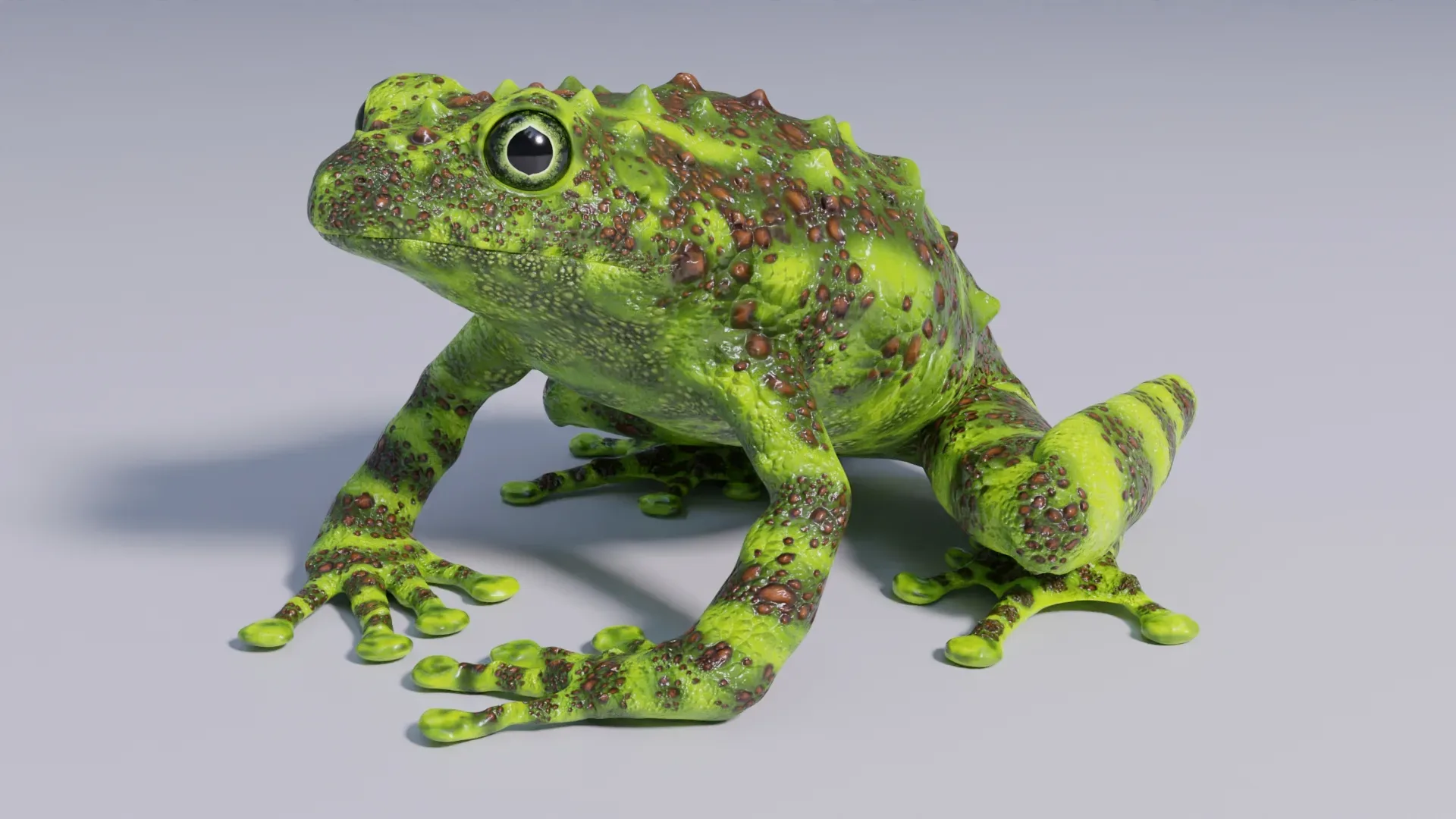 Vietnamese Mossy Frog - Animated - FlippedNormals