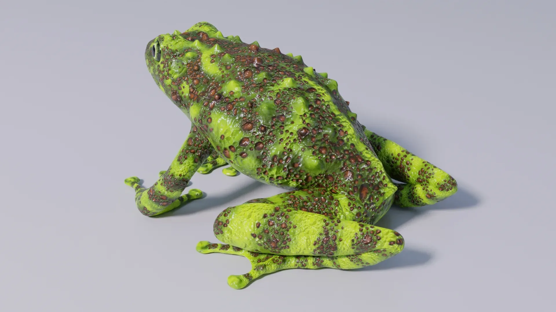 Vietnamese Mossy Frog - Animated - FlippedNormals