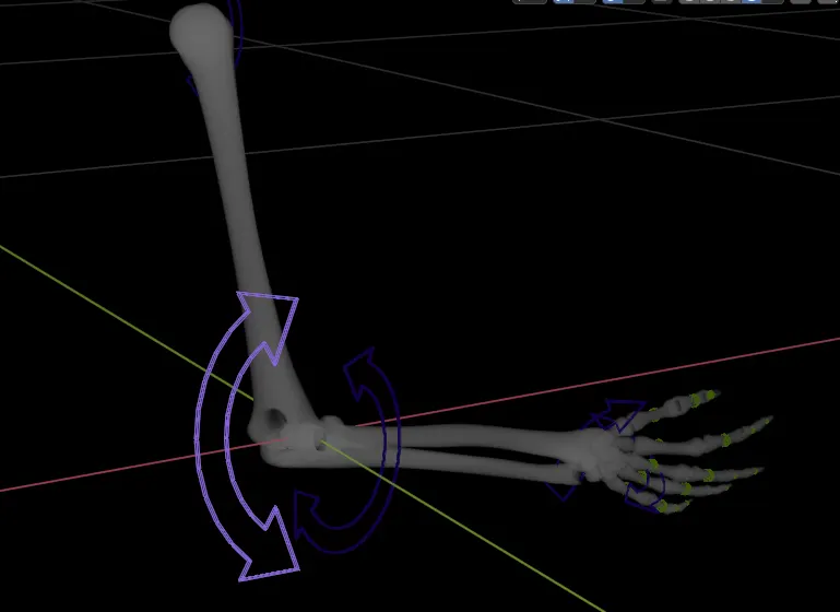 Rigged skeleton arm 1.0 - FlippedNormals