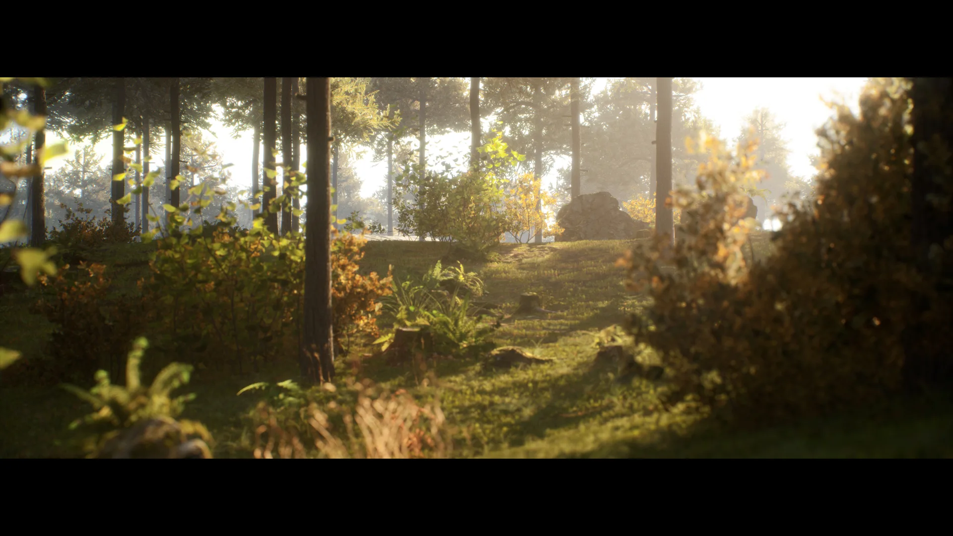 Forest Walk - Unreal Engine 4 - FlippedNormals