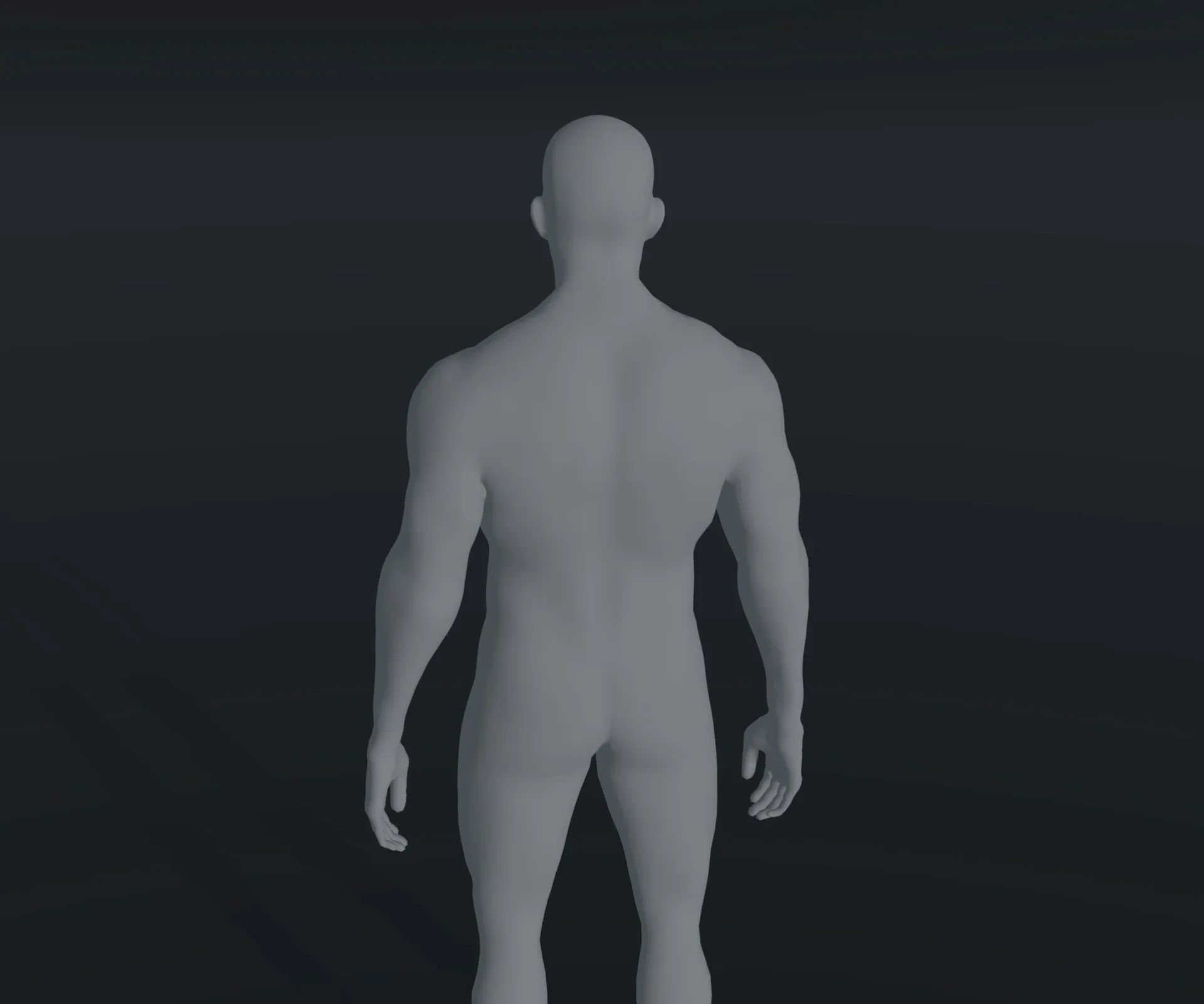 Male Body Base Mesh Animated and - FlippedNormals
