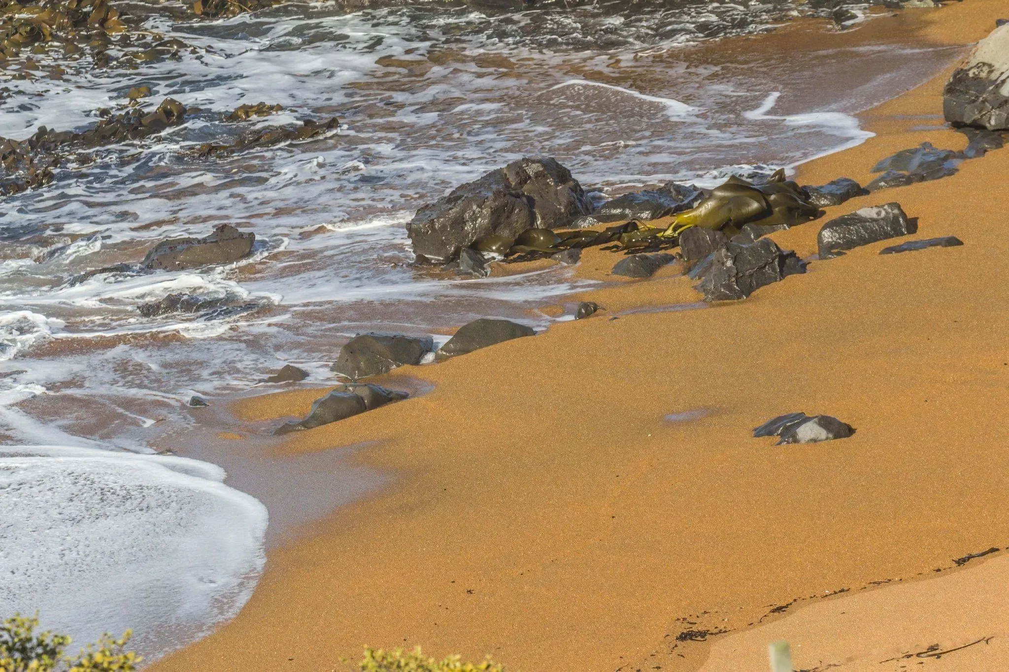 66 photos of Rust Sand - FlippedNormals