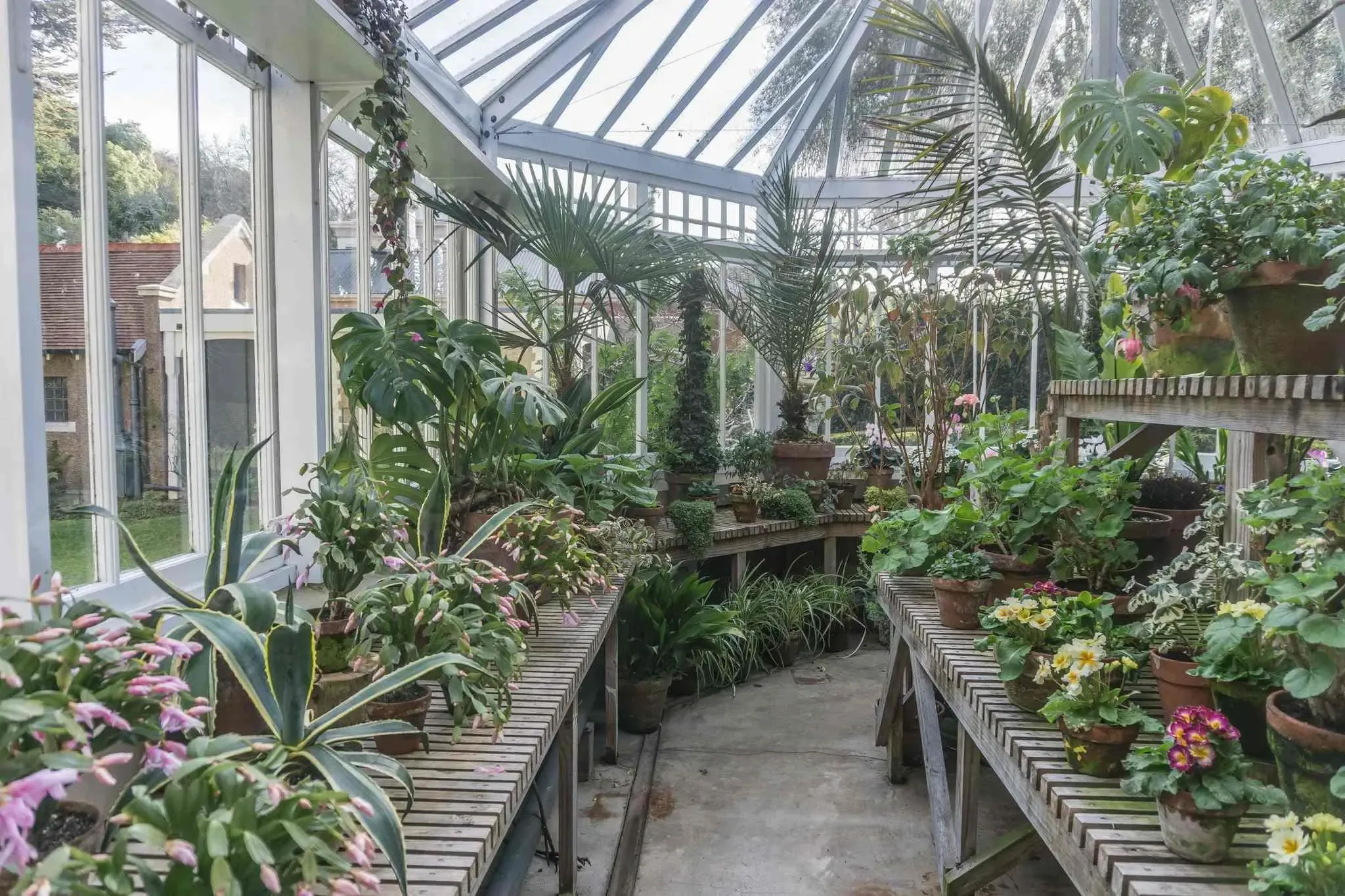 279 photos of Historical Gentry - FlippedNormals