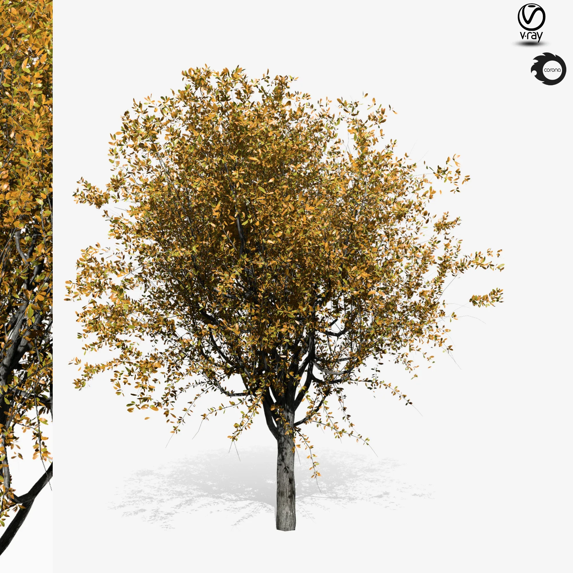 tree-s03 - FlippedNormals