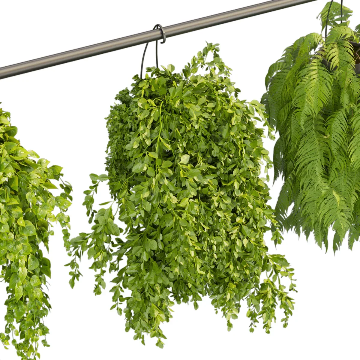 Collection plant vol 360 - hanging - FlippedNormals