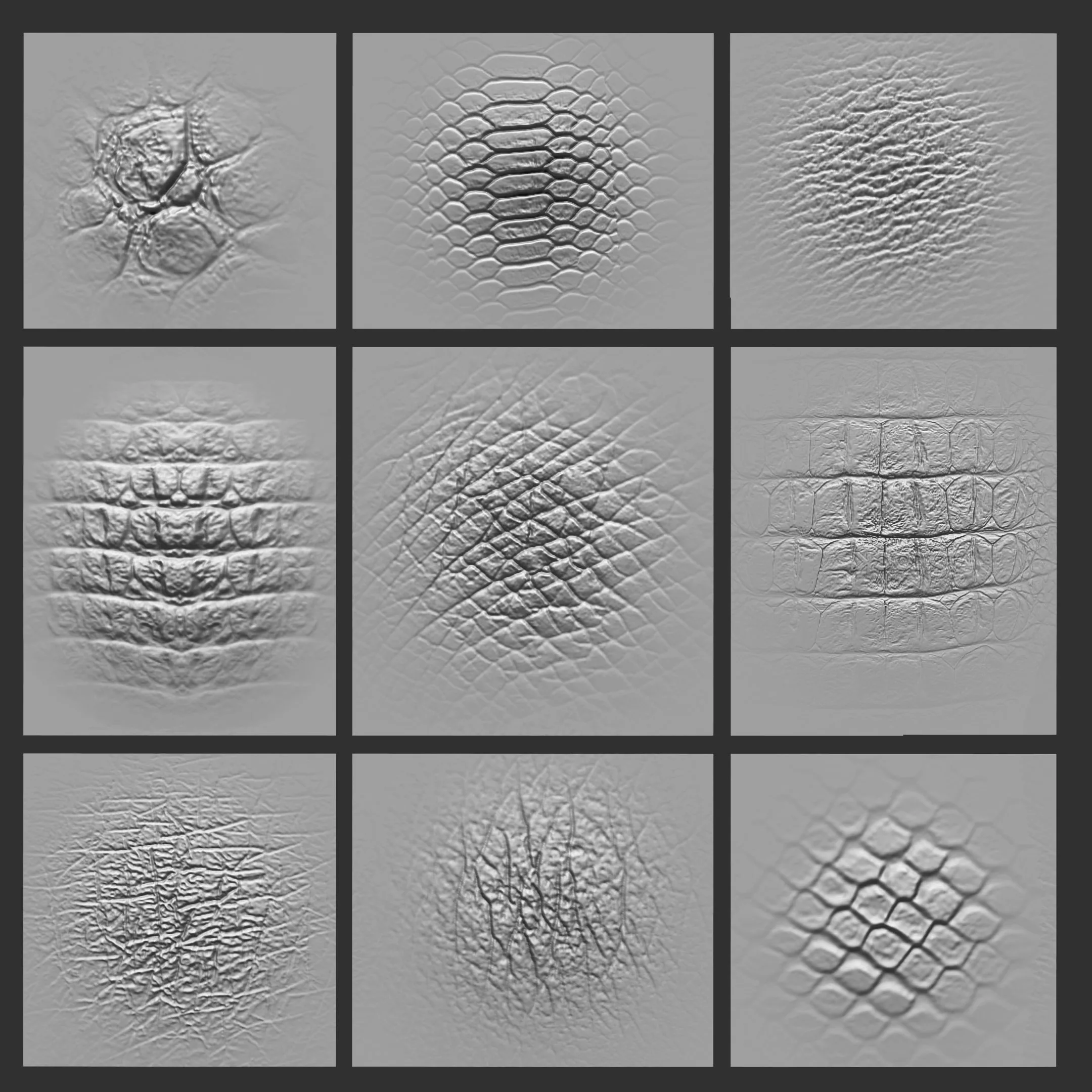 40 Animal Skin Alpha and Brush - FlippedNormals