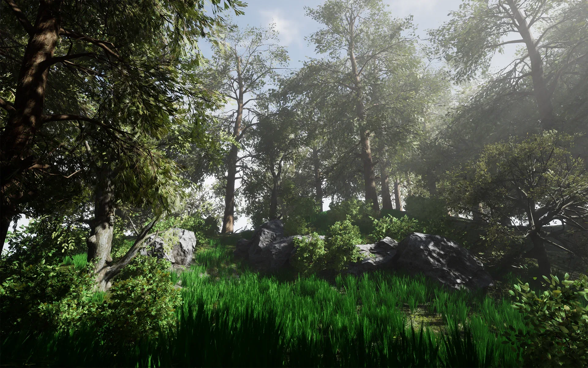 Nature Environment Asset Pack vol - FlippedNormals