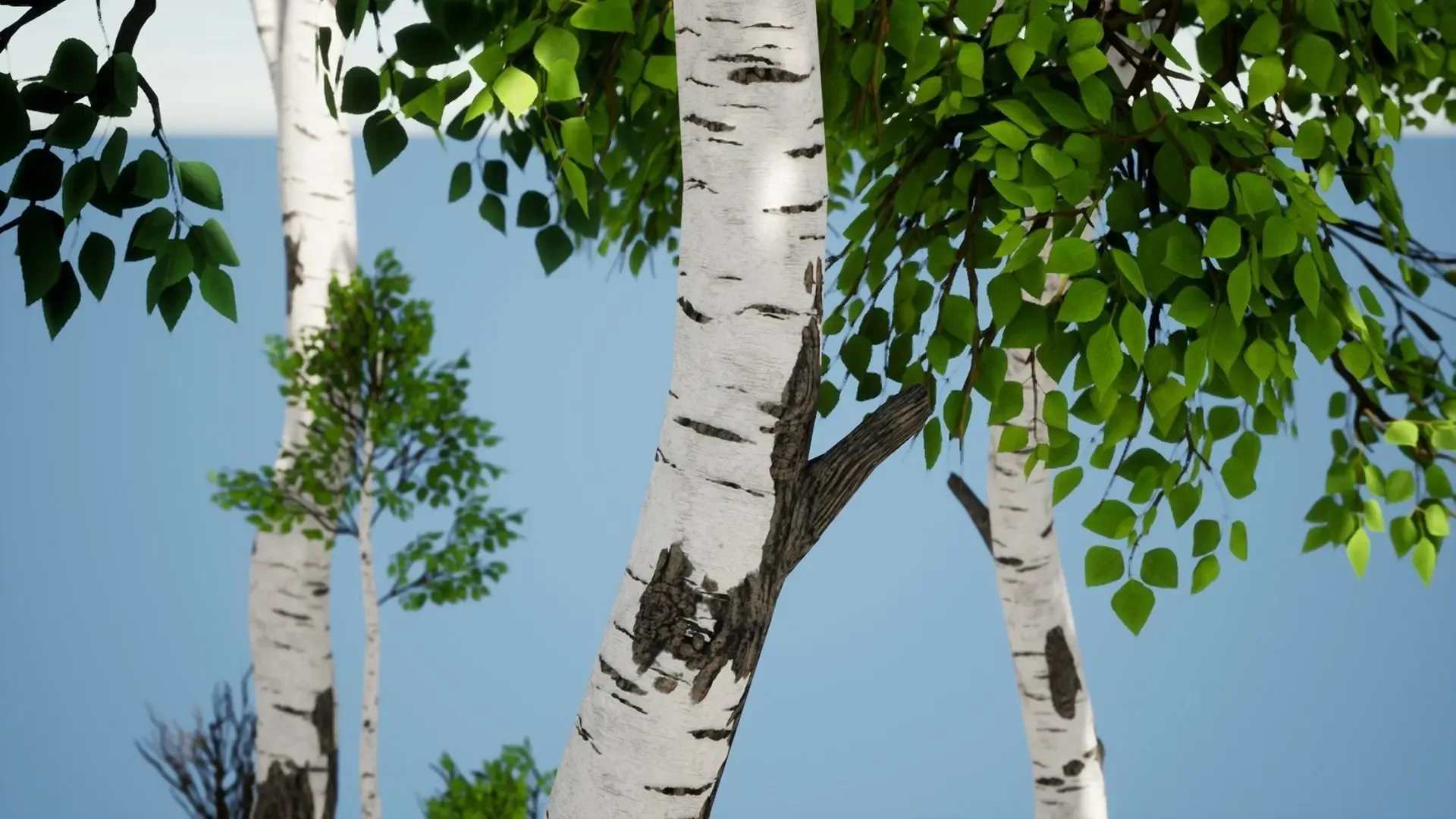 Birch Bark Textures - FlippedNormals