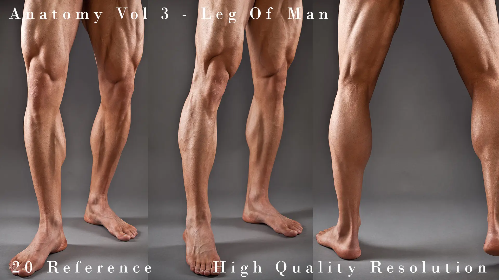 Anatomy Vol 3 - Leg Of Man Details - FlippedNormals