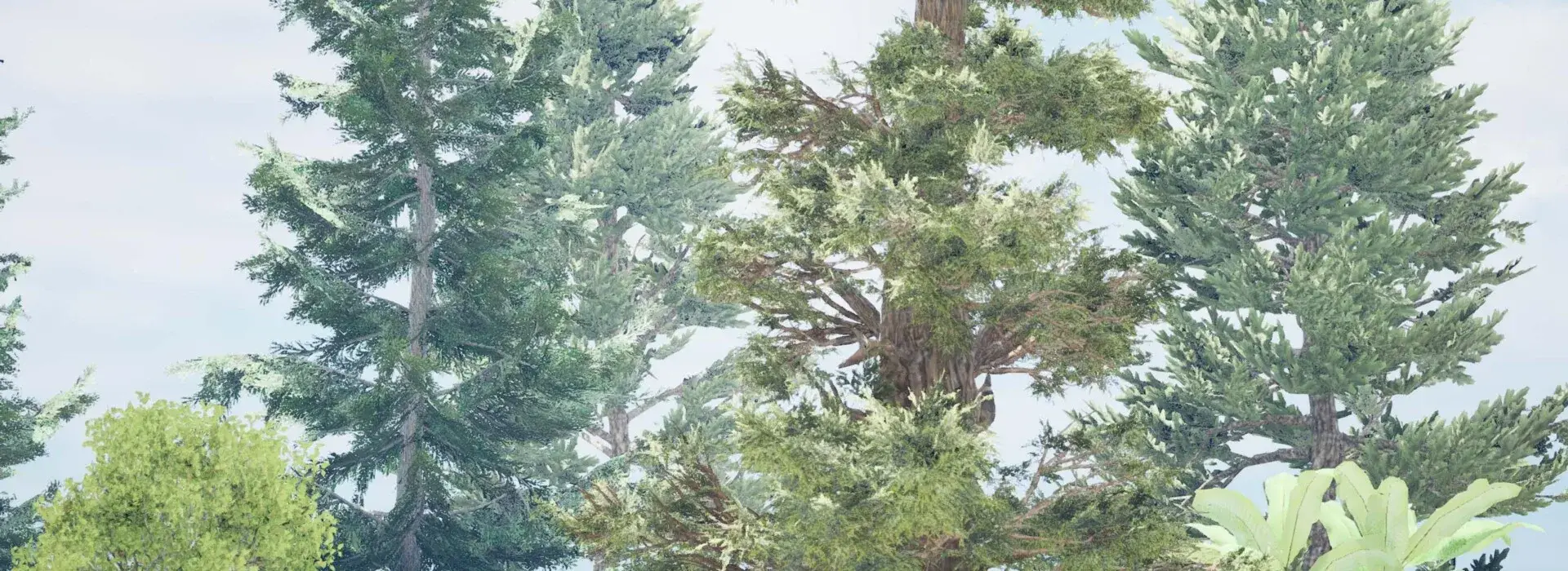 low poly tree collection pack - FlippedNormals