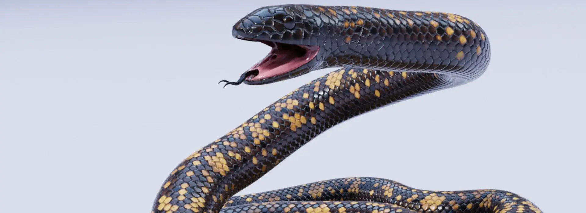 Calabar Python - Animated - FlippedNormals