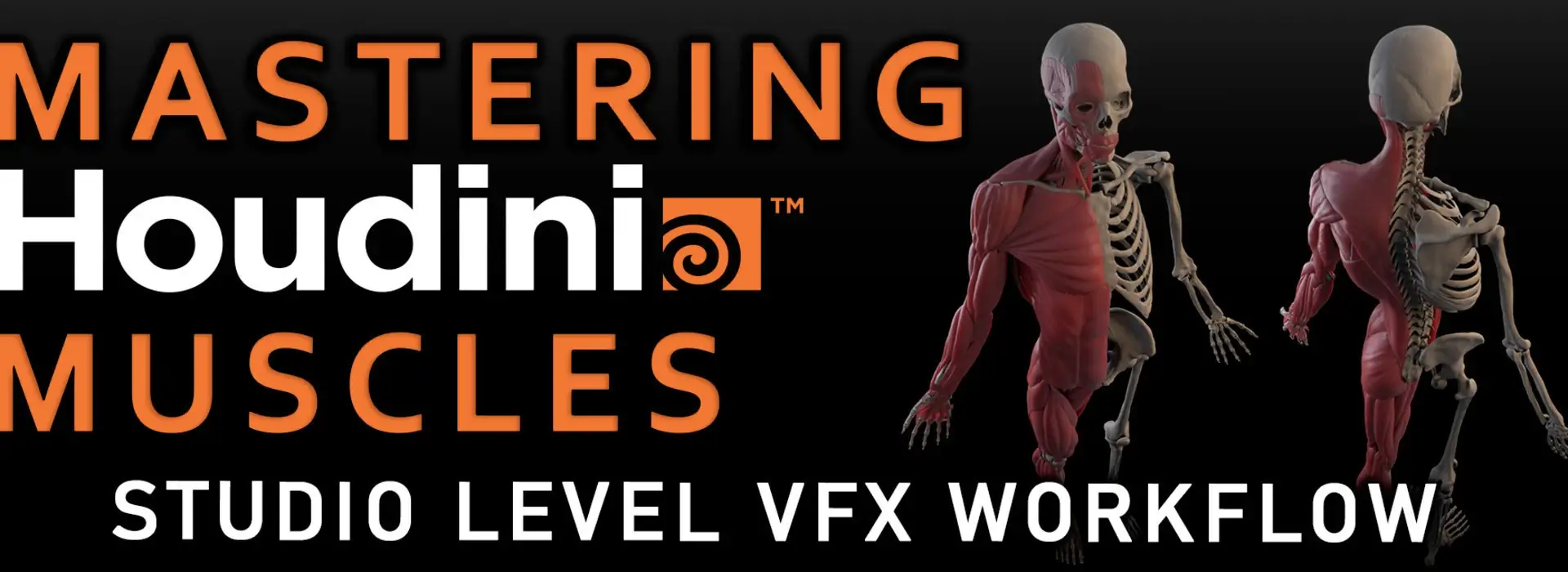 Mastering Houdini Muscles: A Studio - FlippedNormals