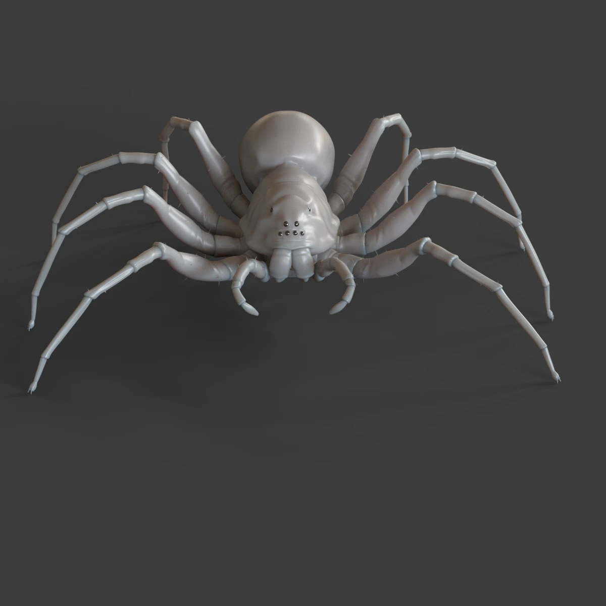 Spider 3D Model - FlippedNormals