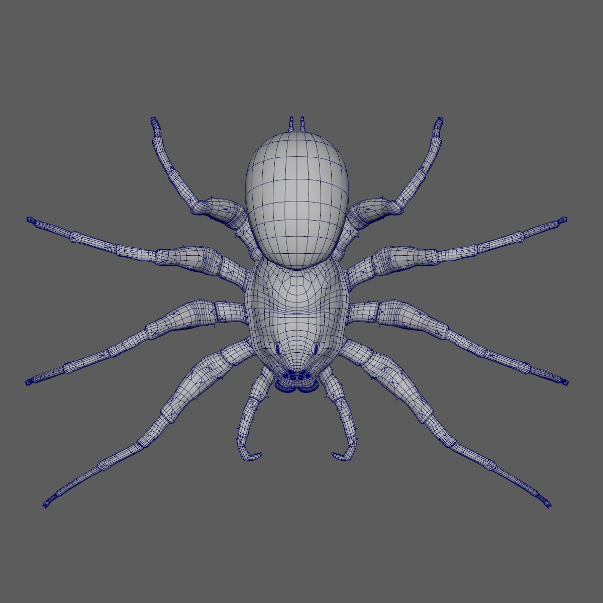 Spider 3D Model - FlippedNormals