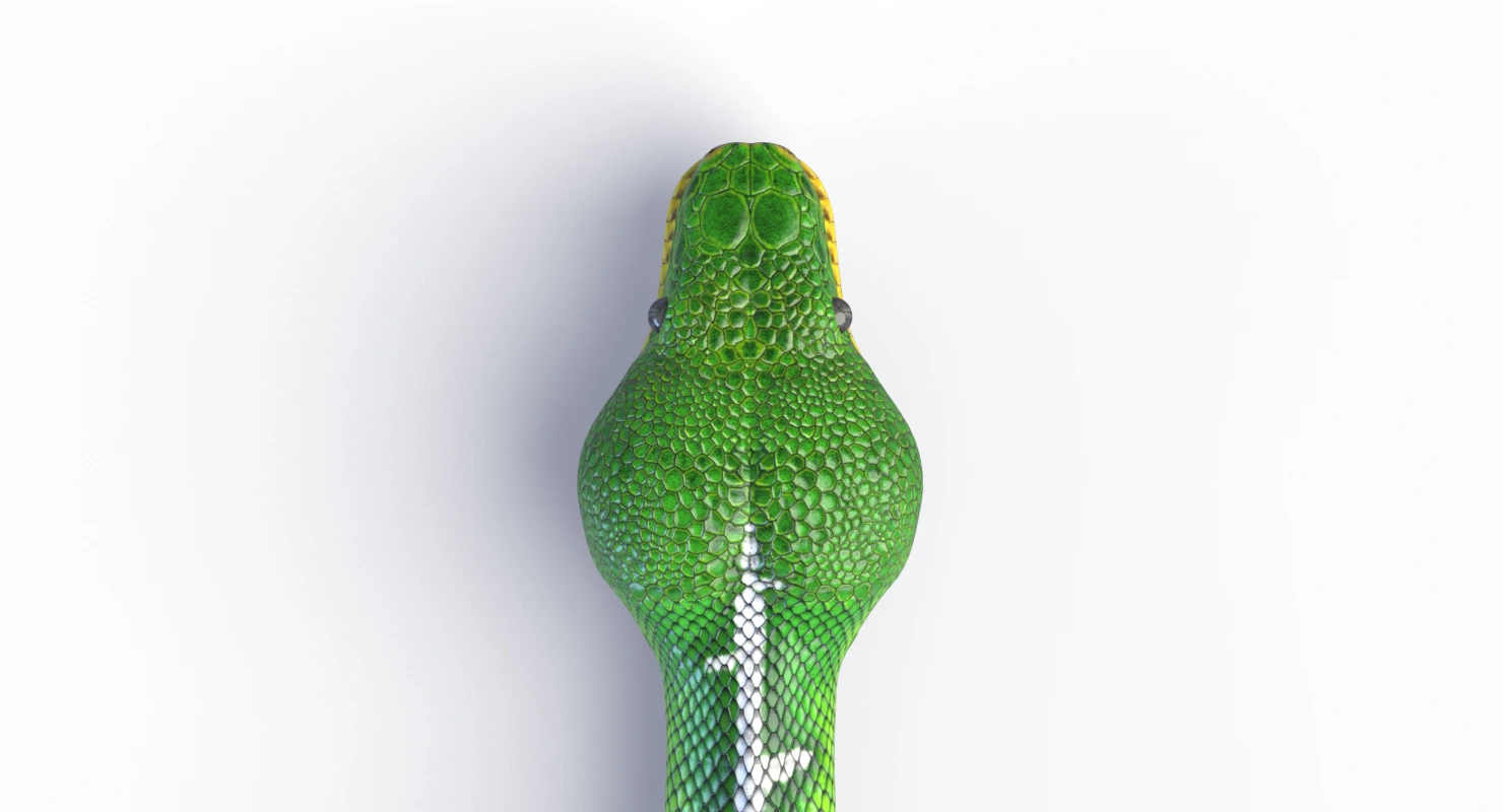 Emerald Tree Boa - Animated - FlippedNormals