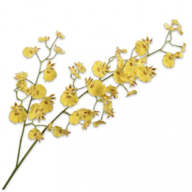 Orchidee Oncidium | 78 cm | geel | FlowerDutchess