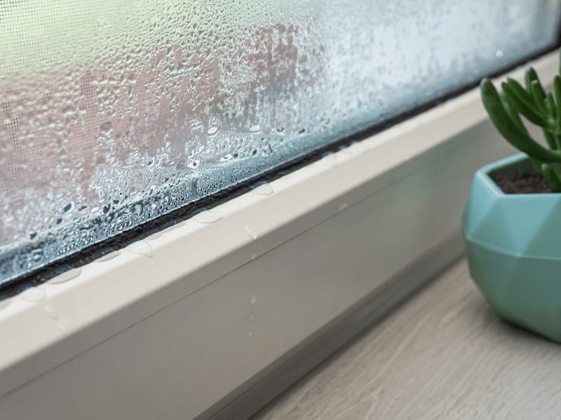 Common Window Problems and How to Fix Them - Bravo Glazing - Sydney ...