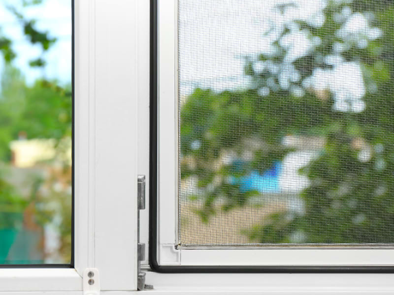 Common Glass Repair: Insect Infestation - Bravo Glazing - Sydney Glass ...