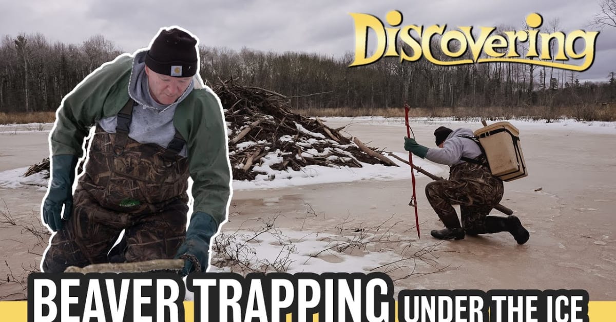 DISCOVERING | Beaver Trapping Under the Ice | Discover the U.P.