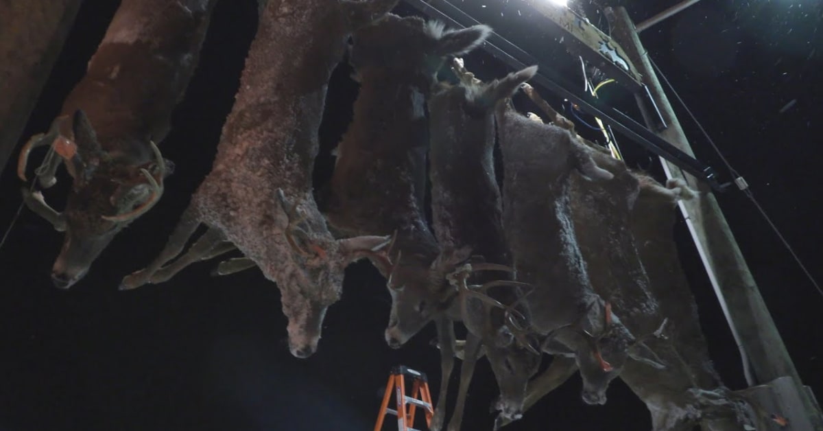 DISCOVERING - Big Buck Night 2022 | Discover the U.P.