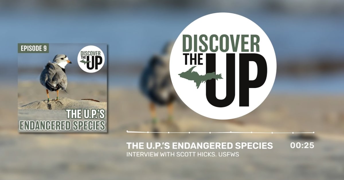 PODCAST - Endangered Species in the Upper Peninsula | Discover the U.P.