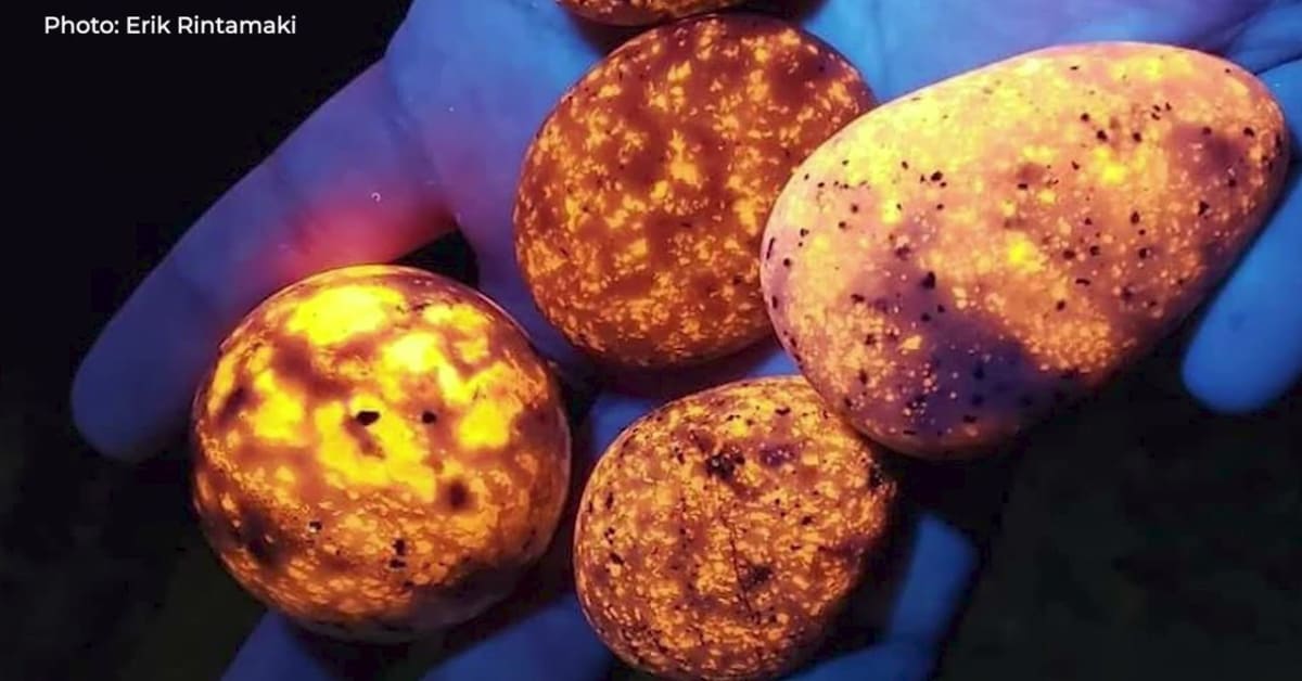 Discovering Yooperlites | Discover the U.P.