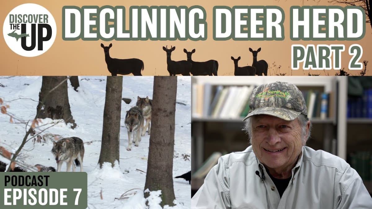 Declining Deer Herd Part 1: Full Interview with George Lindquist ...