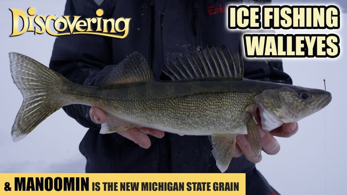 DISCOVERING | Camp Nesbit & Brown Trout Stocking | Discover the U.P.