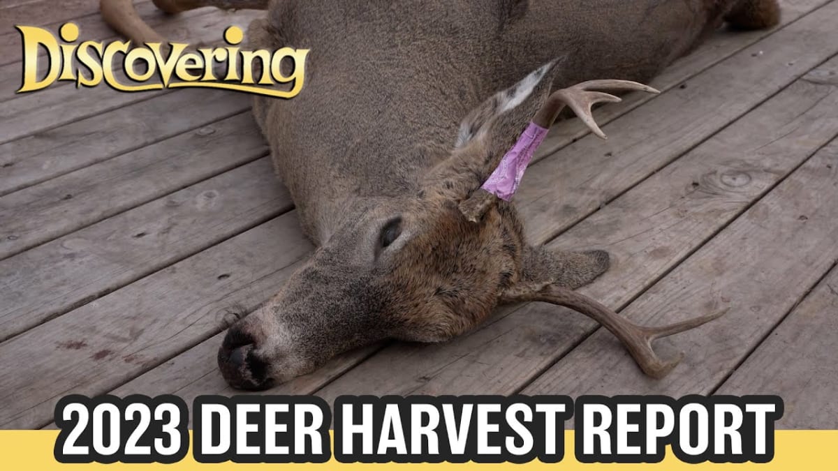 DISCOVERING | Building a Traditional Longbow Part 2 | Discover the U.P.