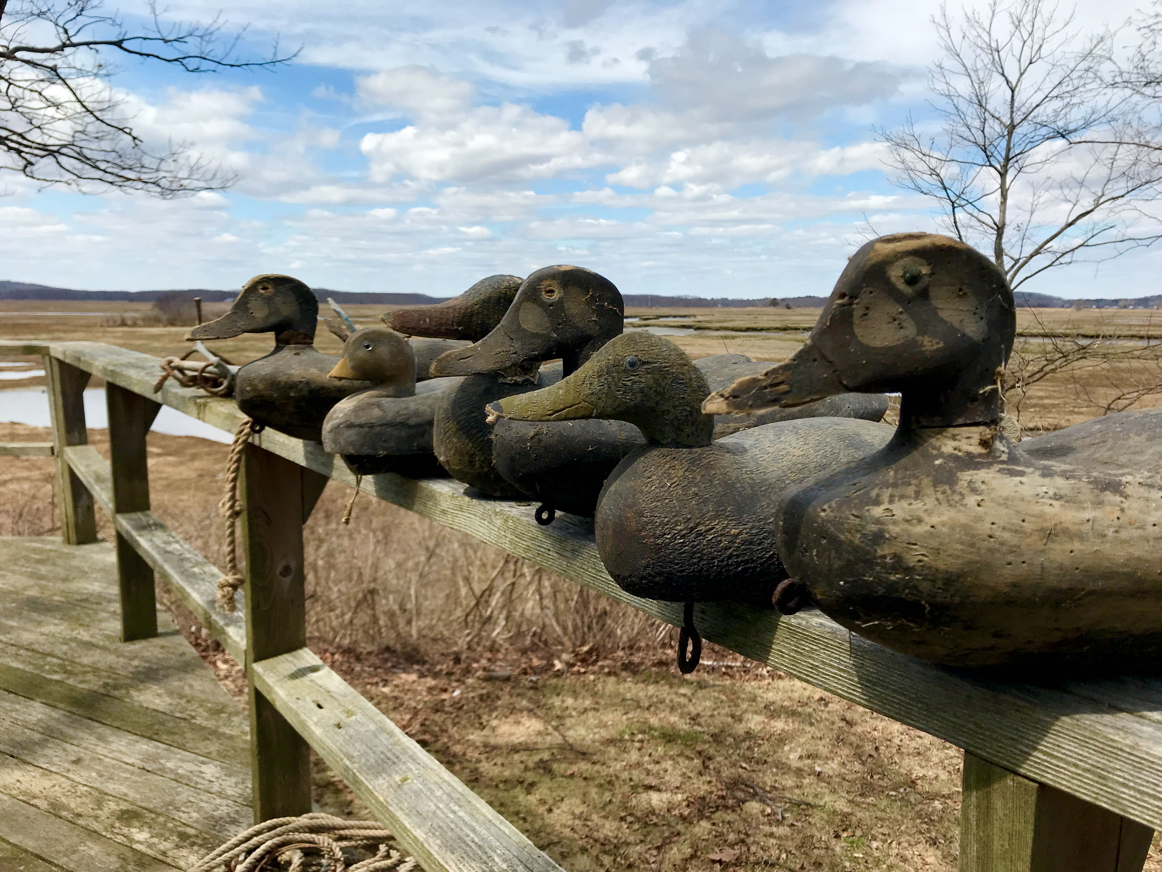 Potato Island