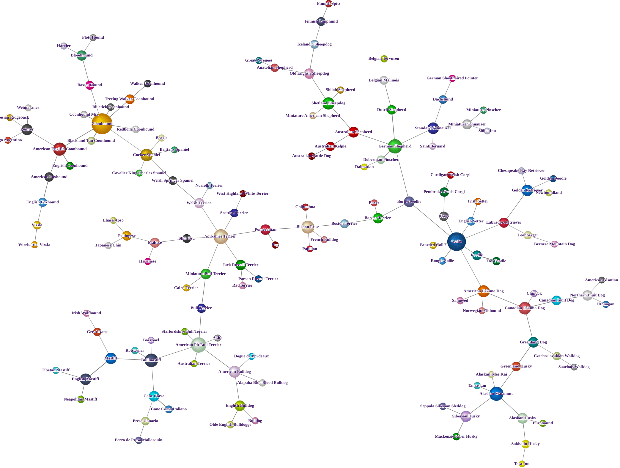 Dog Breeds – BayesiaLab