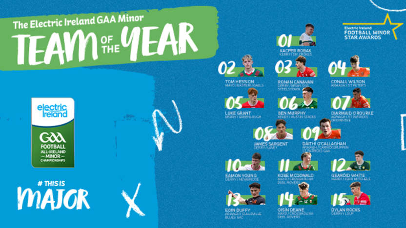 2024 Electric Ireland GAA Minor Star Football Team of the Year